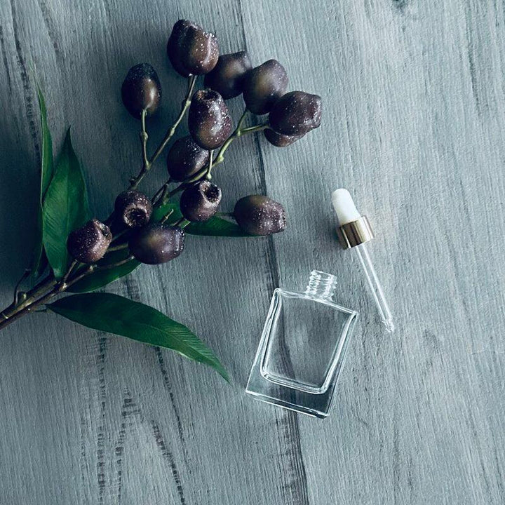 Glass Essential Oil Bottles with Dropper for Essential oil blends ...