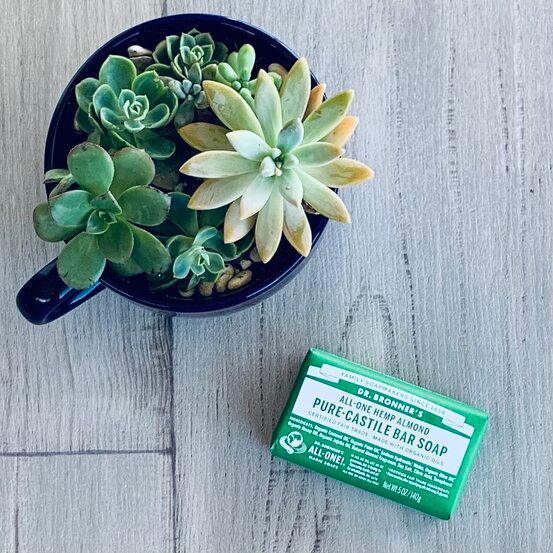 Pure Castile bar Soap made from Certified organic fair trade. – Centaur ...